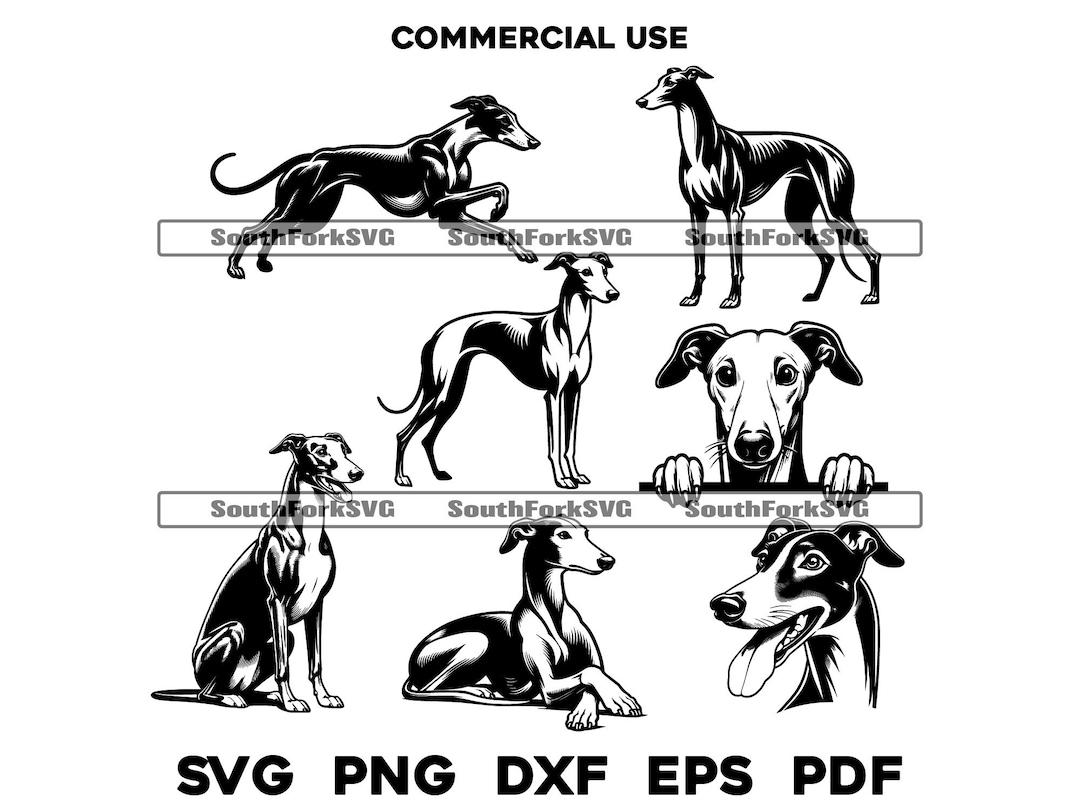 Greyhound Dog Designs Bundle Svg Png Dxf Eps Pdf | Vector Graphic Cut ...