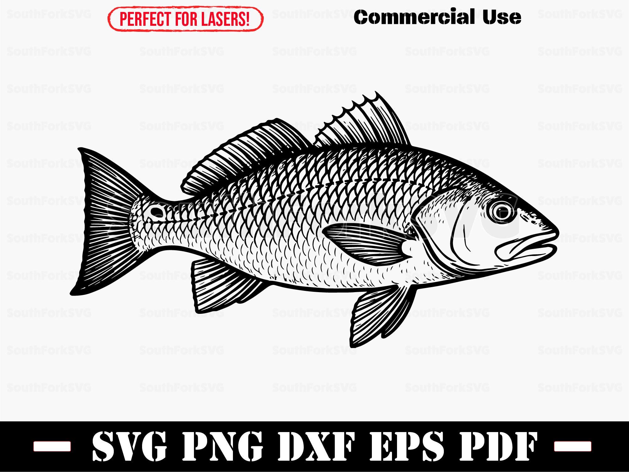 Redfish Red Drum Design | Svg Png Dxf Eps Pdf | Transparent Vector ...
