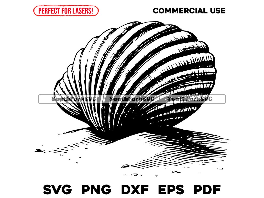 Laser Engrave File Sea Shell on the Beach Shore | Svg Png Dxf Eps Pdf ...