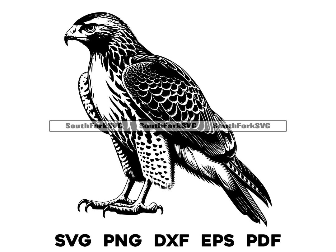 Red-tailed Hawk Bird Design | Svg Png Dxf Eps Pdf | Vector Graphic Cut ...