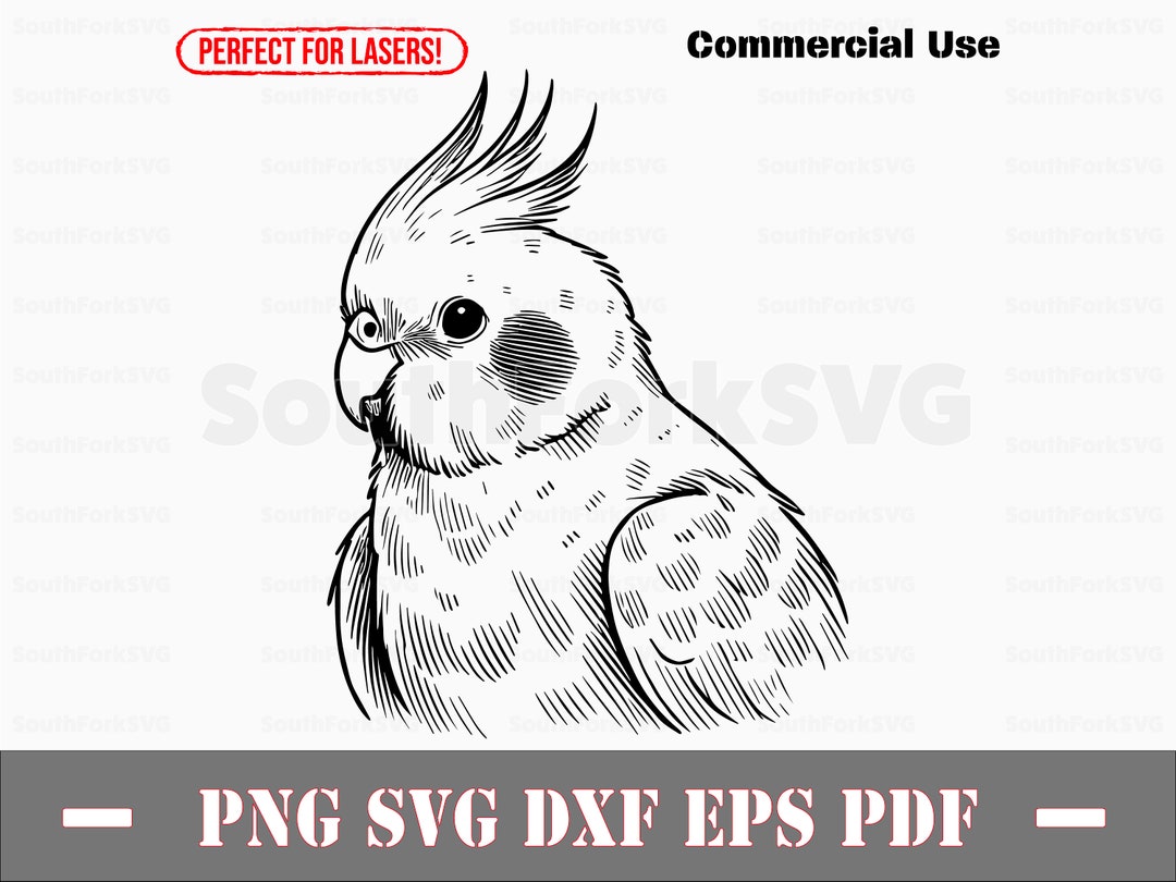 Cockatiel Bird Design | Svg Png Dxf Eps Pdf | Vector Graphic Cut File ...