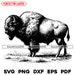 American Bison Laser Engrave Files Svg Png Dxf Eps Pdf Vector Graphic ...
