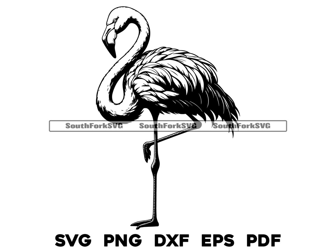 Flamingo Bird Design | Svg Png Dxf Eps Pdf | Vector Graphic Cut File ...