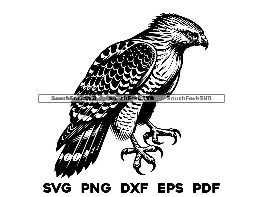 Red-shouldered Hawk Design Svg Png Dxf Eps Pdf | Laser Engrave Cut ...