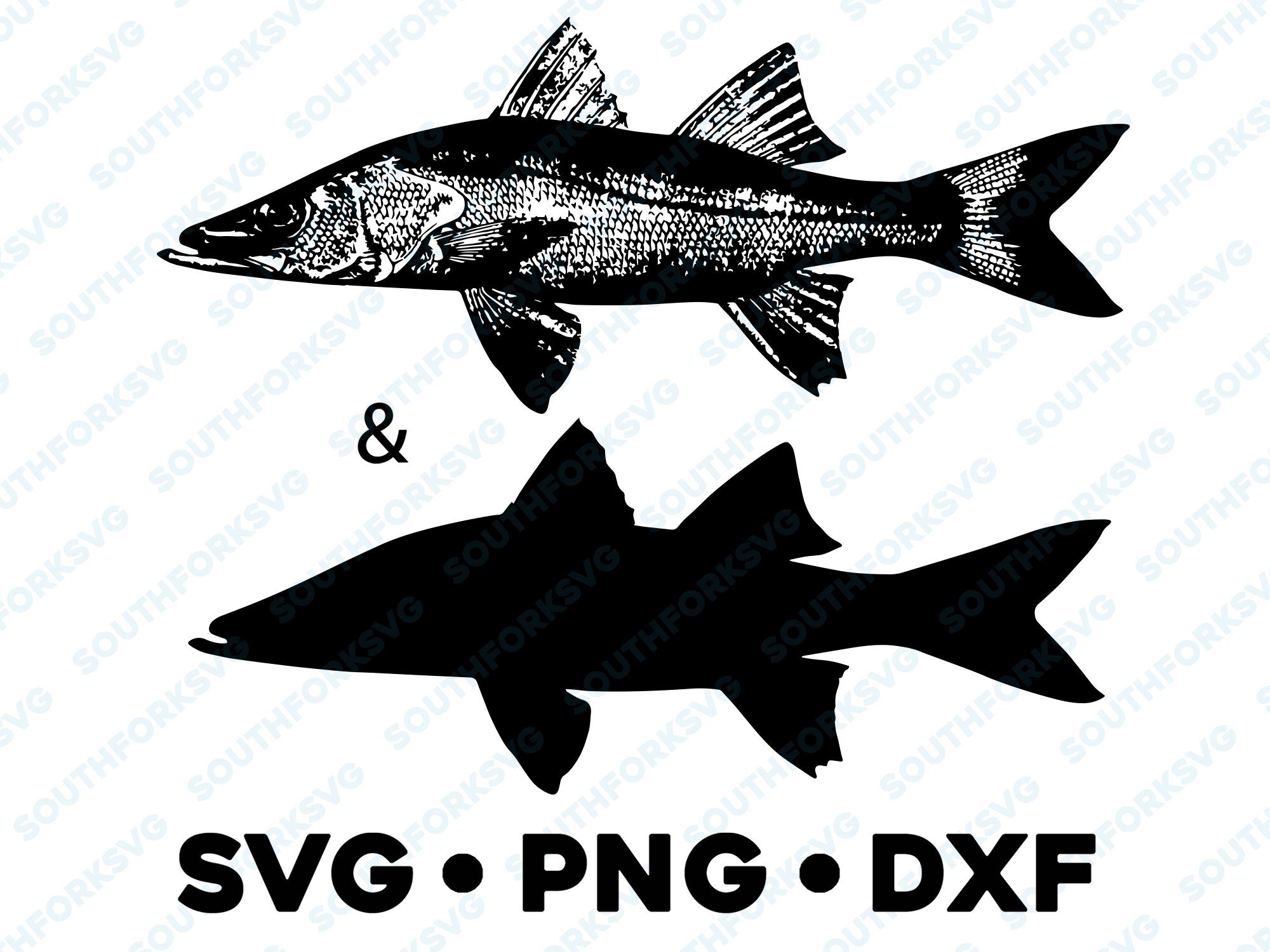 Snook SVG PNG DXF Vector Transparent Cameo Silhouette Cut File - Etsy