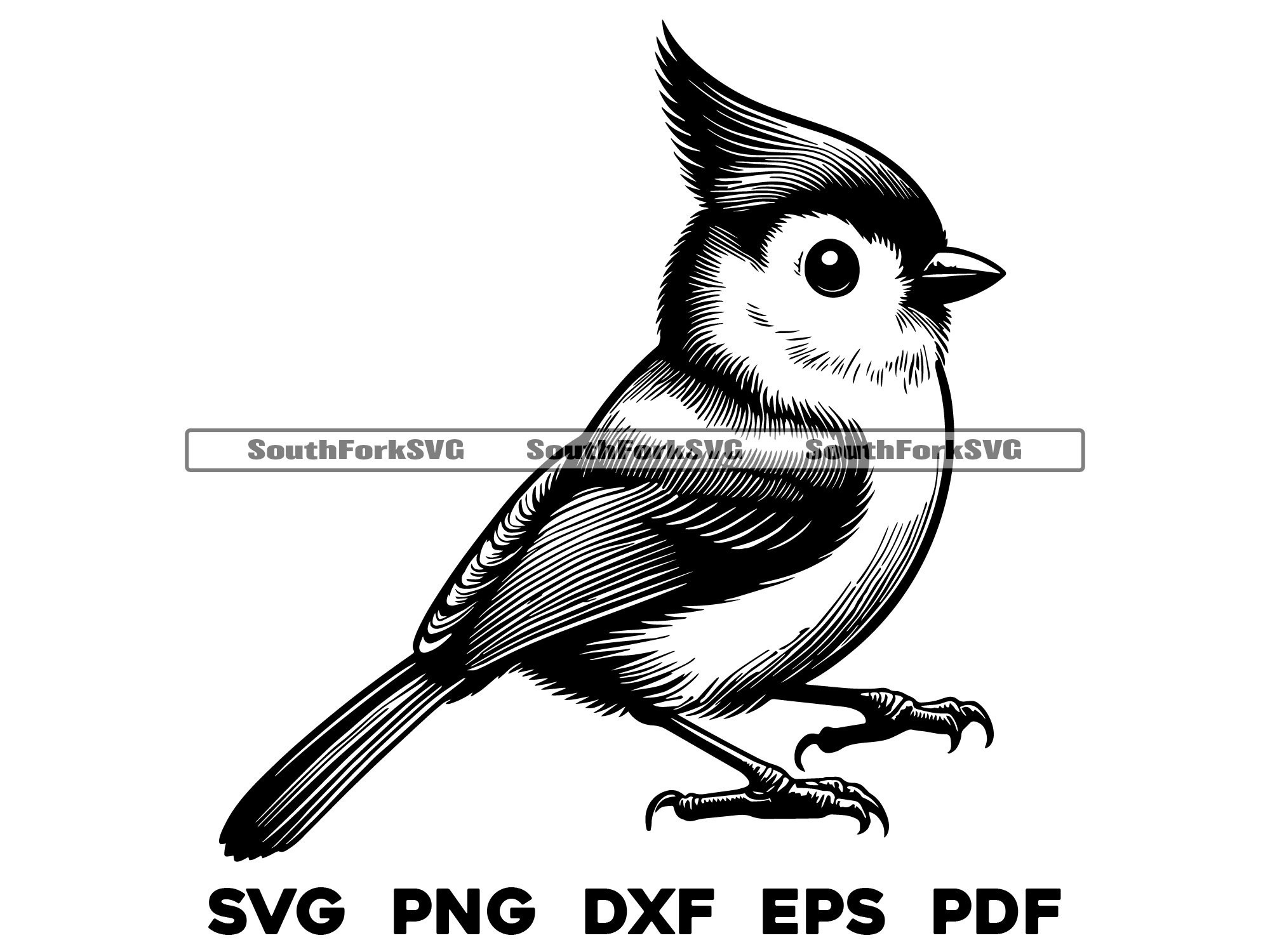 Tufted Titmouse Bird Design Svg Png Dxf Eps Pdf Vector - Etsy