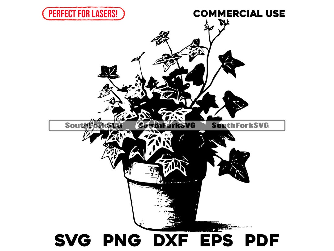 Potted Ivy Plant Laser Engrave Files Svg Png Dxf Eps Pdf Vector Graphic ...