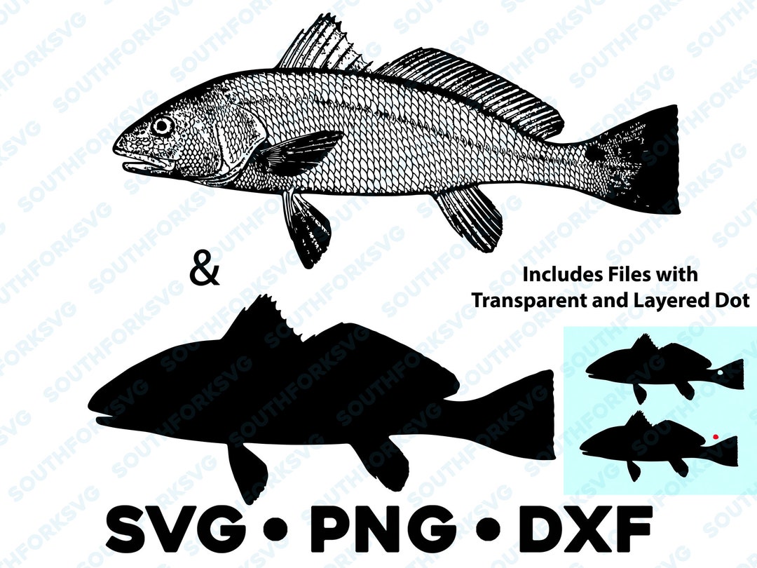 Redfish Red Fish Spot Red Drum SVG PNG DXF Vector Transparent Cameo ...