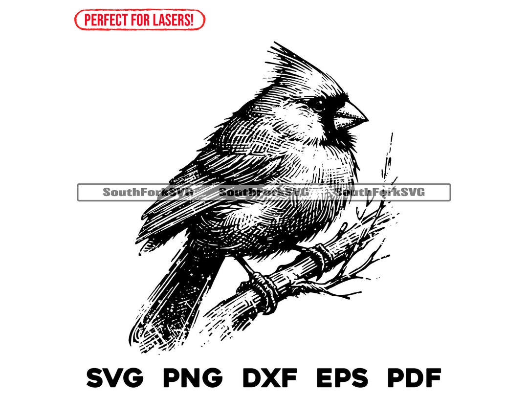 Cardinal Bird Laser Engrave Files Svg Png Dxf Eps Pdf Vector Graphic ...