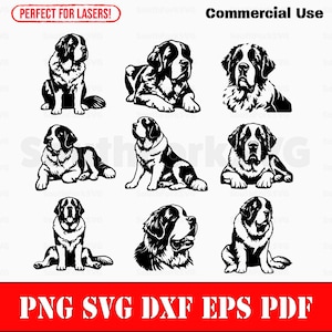 Simple Saint Bernard Bundle Svg Png Dxf Eps Pdf | Vector Graphic Cut ...