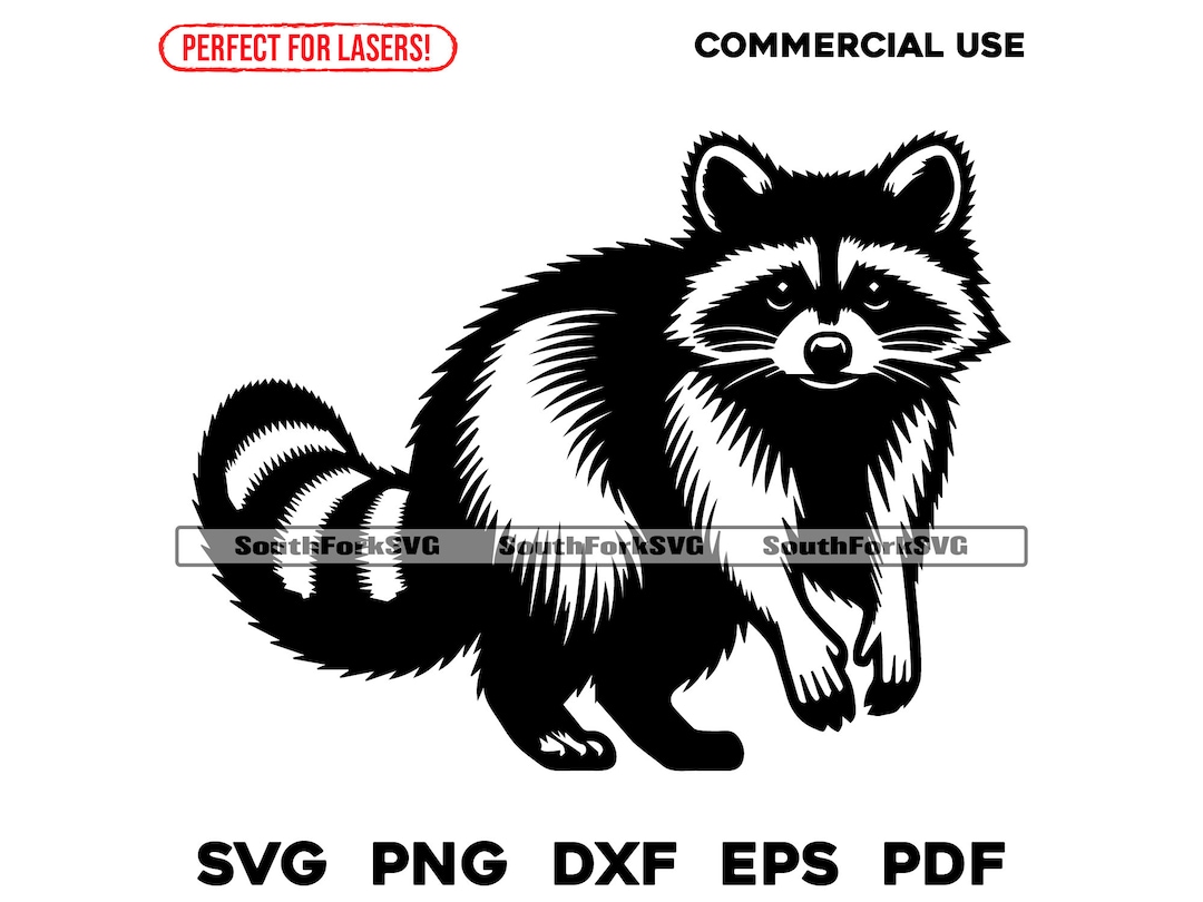 Raccoon Design Svg Png Dxf Eps Pdf | Vector Graphics Design Cut Print ...