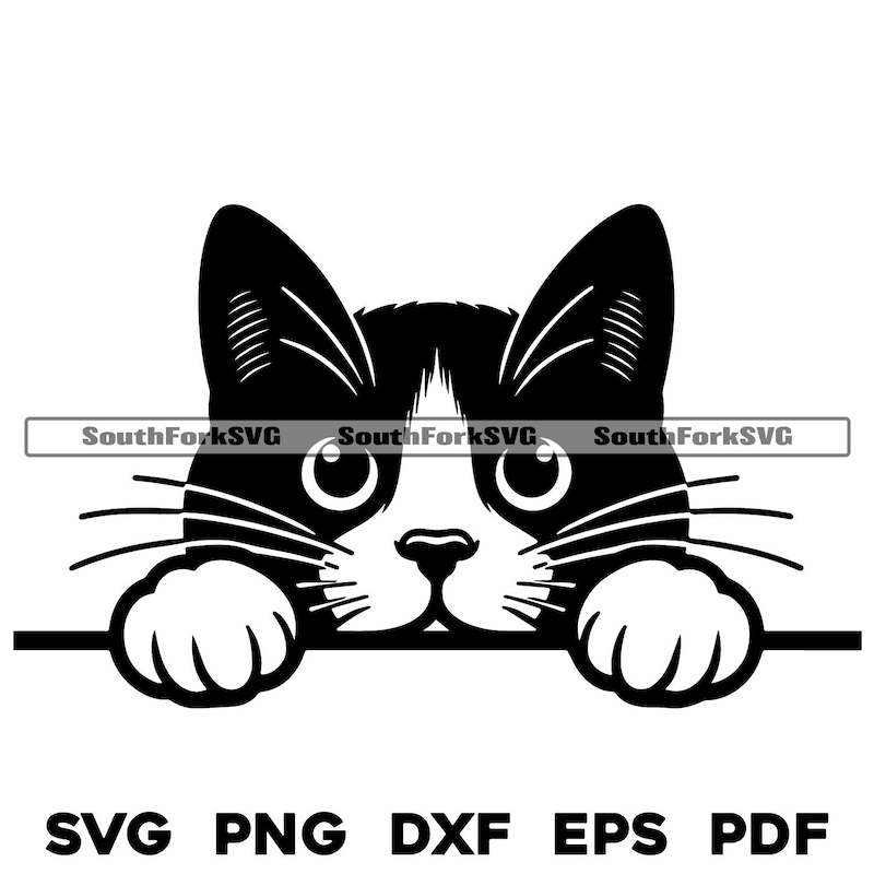 Tuxedo Cat Canvas Print - Etsy