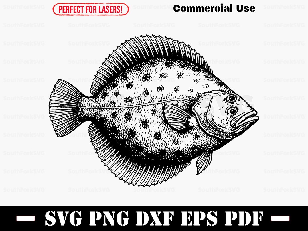 Flounder Svg Png Dxf Eps Pdf | Transparent Vector Graphic Design Cut ...
