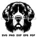 Newfoundland Dog Head Design | Svg Png Dxf Eps Pdf | Vector Graphic Cut ...