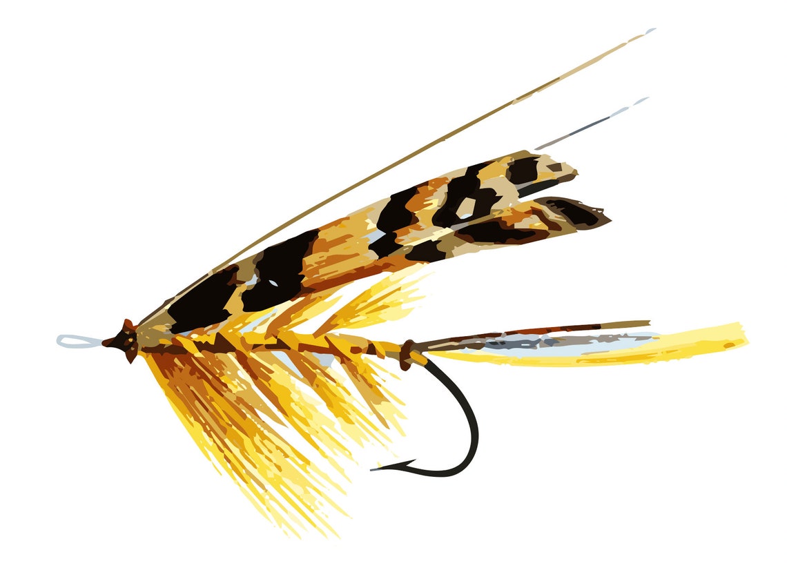 Dry Fly Colored Vectorized Bundle SVG PNG DXF Transparent Graphic ...