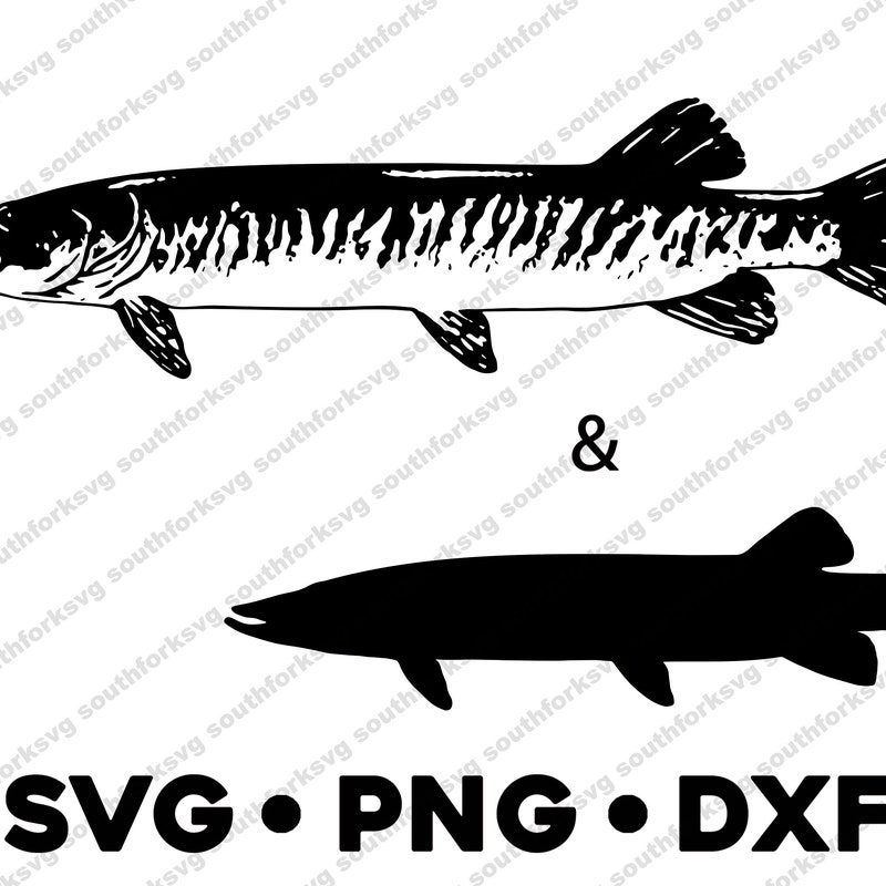 Fly Fishing Art Musky - Etsy