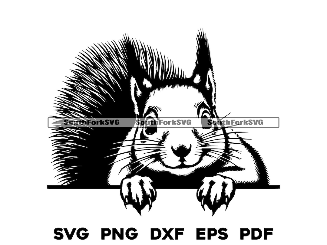 Peeking Squirrel Design Files Svg Png Dxf Eps Pdf | Vector Graphic ...