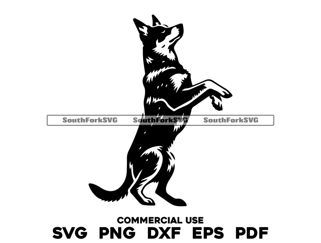 Blue Heeler Begging Hind Legs Svg Png Dxf Eps Pdf | Vector Graphic Cut ...
