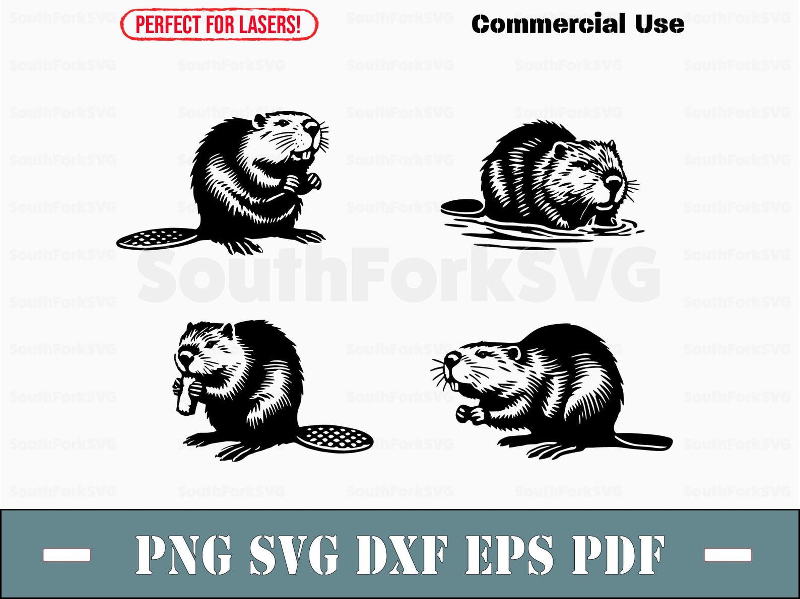 Beaver Design Bundle Svg Png Dxf Eps Pdf | Vector Graphic Design Cut ...