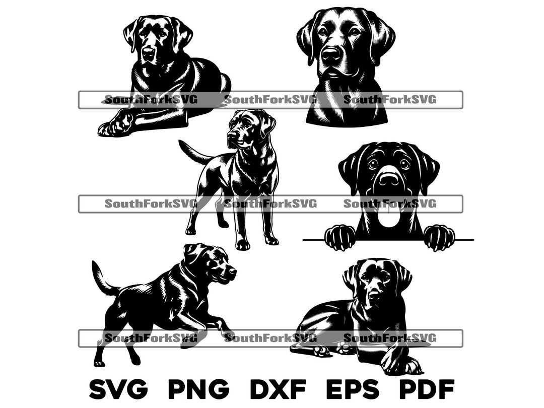 Black Lab Labrador Retriever Dog Designs Bundle Svg Png Dxf Eps Pdf ...