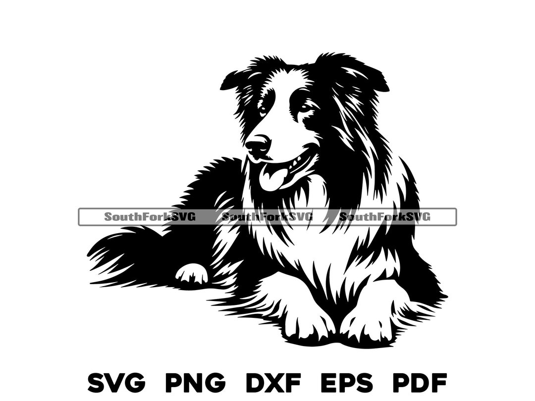 Border Collie Laying Design Svg Png Dxf Eps Pdf | Vector Graphic Cut ...
