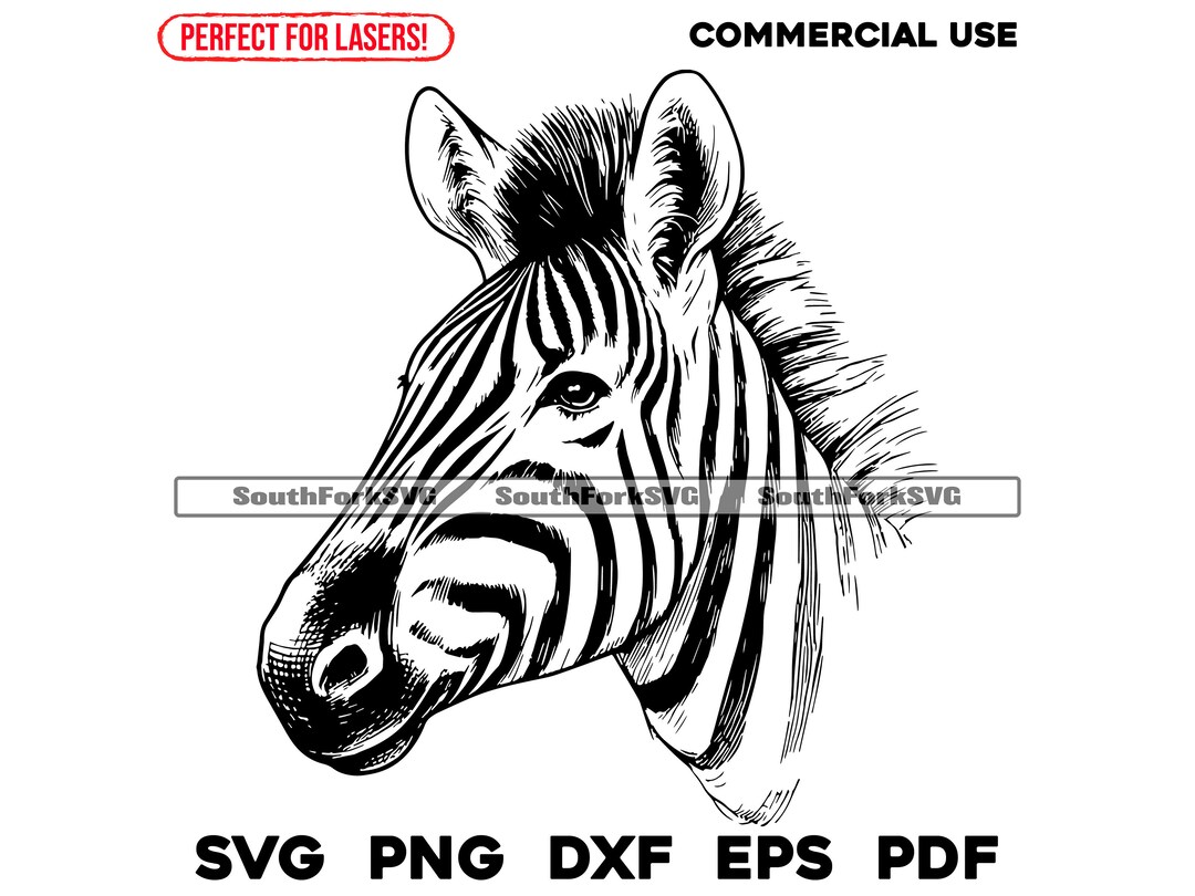 Zebra Laser Engrave Files Svg Png Dxf Eps Pdf Vector Graphics Design ...