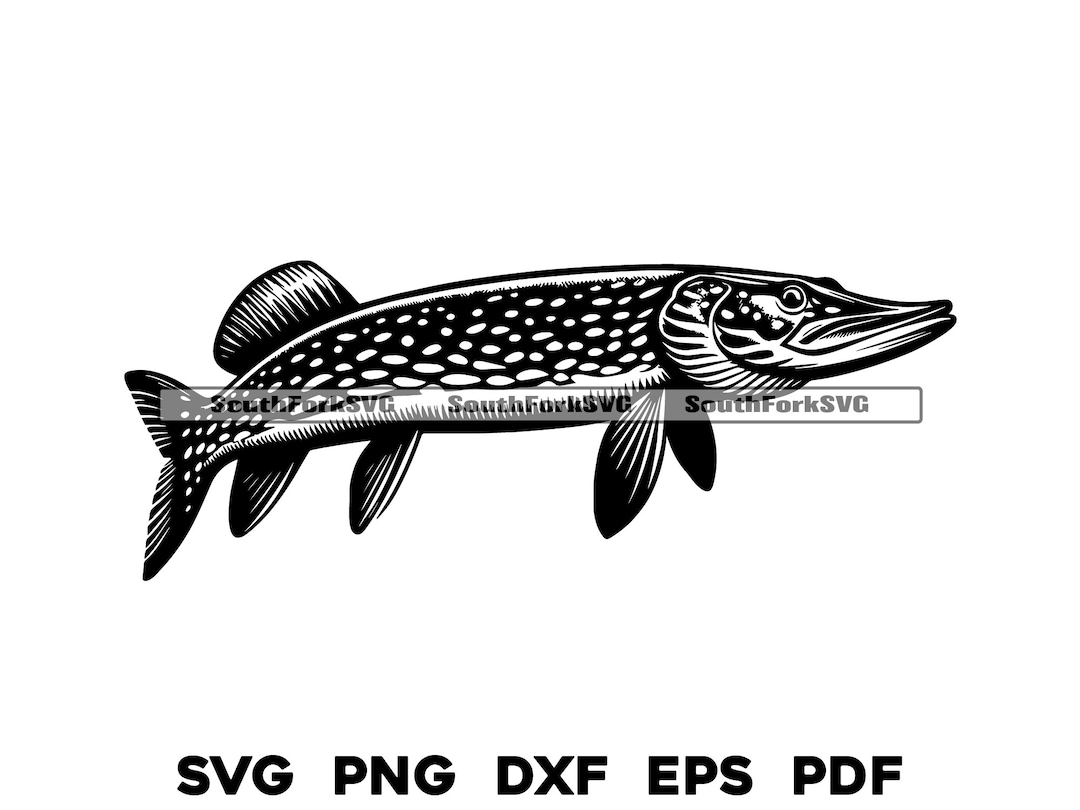 Northern Pike Design | Svg Png Dxf Eps Pdf | Transparent Vector Graphic ...