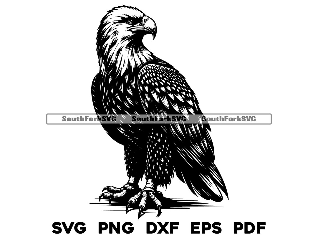 Standing Bald Eagle Design Files | Svg Png Dxf Eps Pdf | Vector Graphic ...