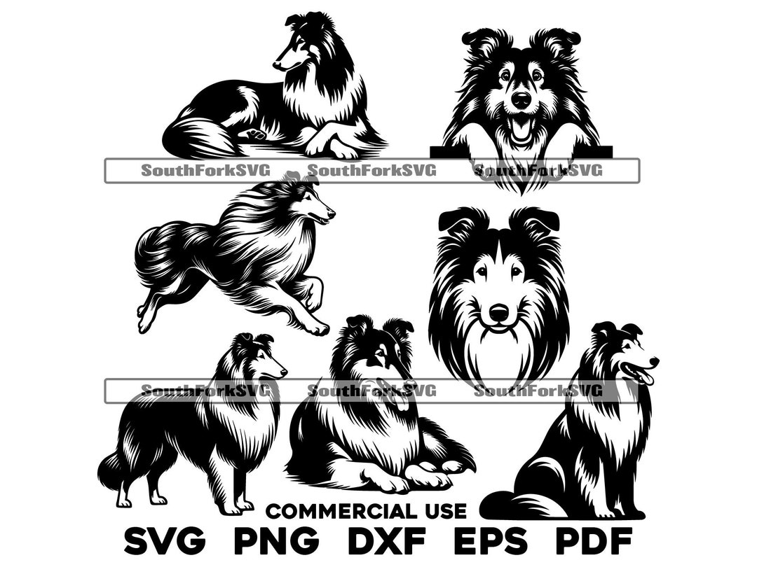 Collie Bundle Svg Png Dxf Eps Pdf | Vector Graphic Cut File Laser Clip ...