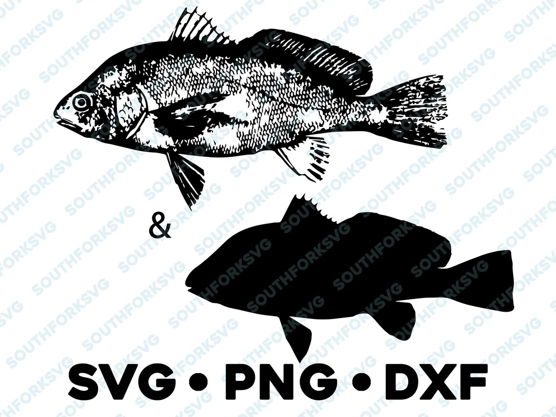 Freshwater Drum Red Fish Spot Bream SVG PNG DXF vector | Etsy