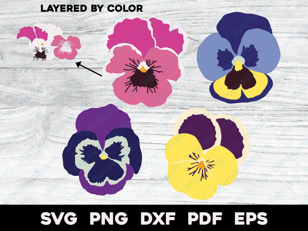 Pansies Flower Bundle Svg Png Dxf Eps Pdf Layered by Color Cut File ...