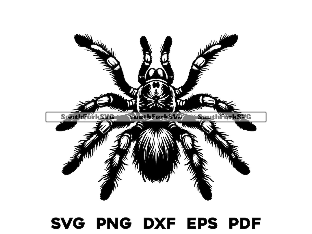 Tarantula Spider Svg Png Dxf Eps Pdf | Vector Graphics Design Cut Print ...
