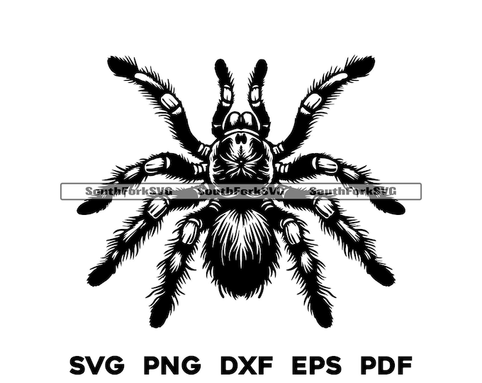 Tarantula Svg, Spider Svg, Bug Svg, Insect Svg. Vector Cut File for ...