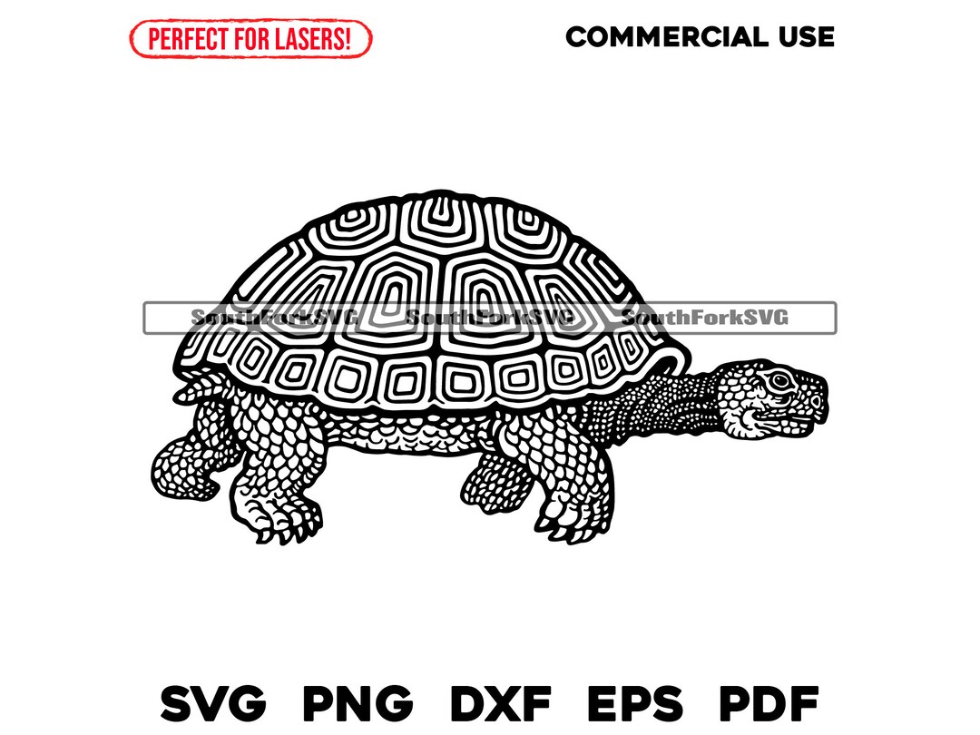 Tortoise Svg Png Dxf Eps Pdf | Vector Graphic Design Cut Print Dye Sub ...