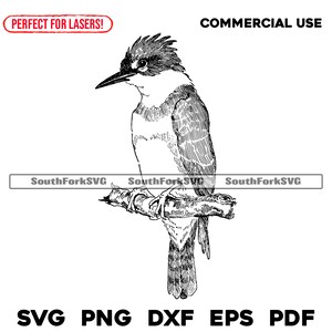 Laser Engrave Files Kingfisher Svg Png Dxf Eps Pdf Vector Graphic ...