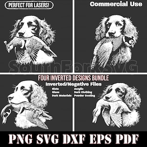 Inverted Boykin Spaniel Bundle Svg Png Dxf Eps Pdf Vector Graphic Print ...