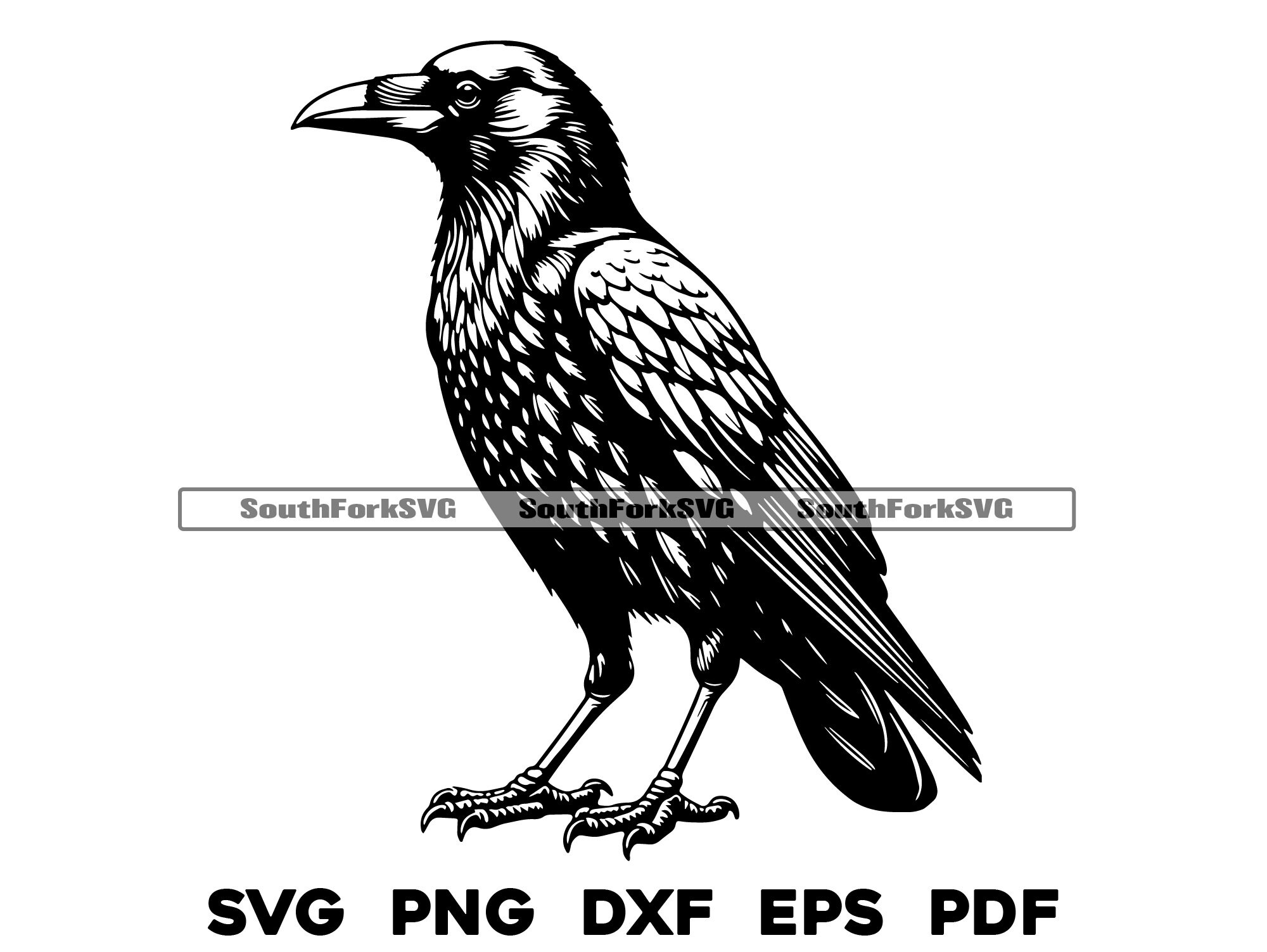 Standing Crow Bird Design Svg Png Dxf Eps Pdf Vector Graphic Cut File ...