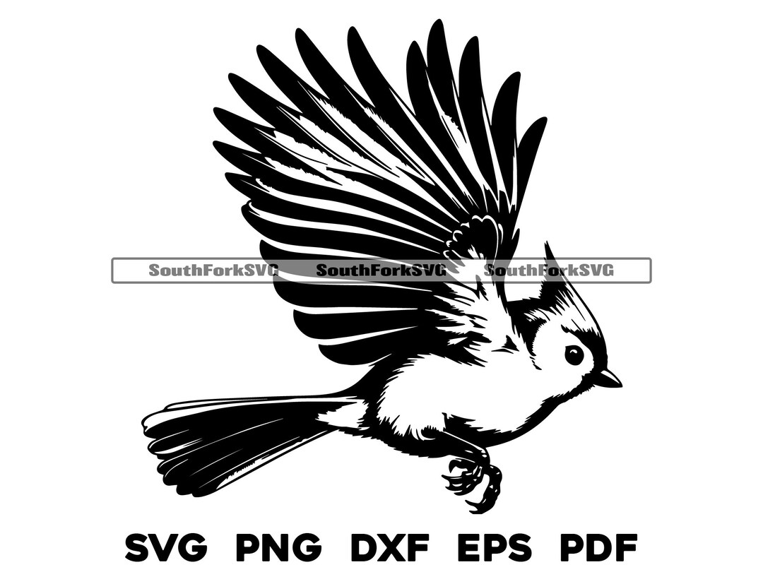 Tufted Titmouse Bird Design | Svg Png Dxf Eps Pdf | Vector Graphic Cut ...