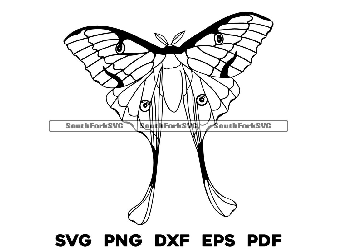 Luna Moth Outline | Svg Png Dxf Eps Pdf | Transparent Vector Graphic Design Cut Print Dye Sub ...
