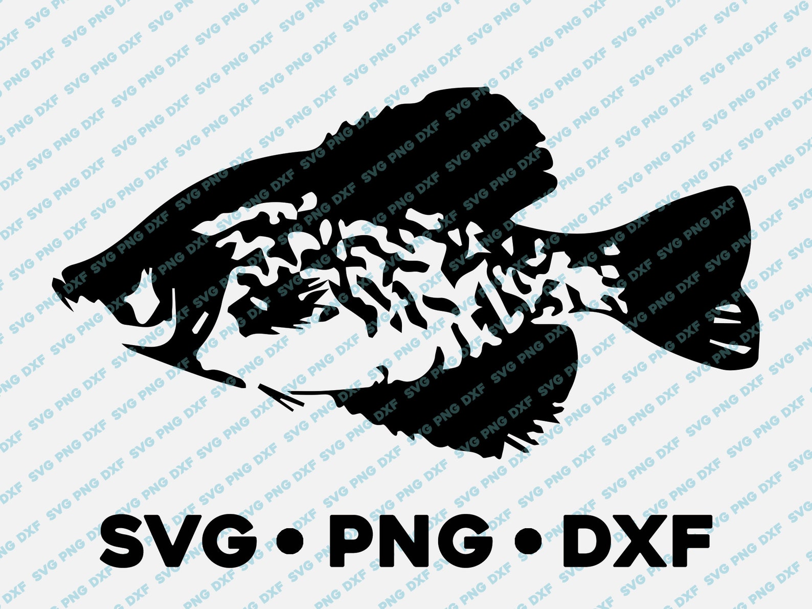 Crappie White Black Bass Sunfish SVG PNG DXF Vector Transparent Cameo ...