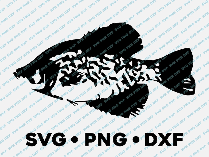 Crappie White Black Bass Sunfish SVG PNG DXF Vector Transparent Cameo ...