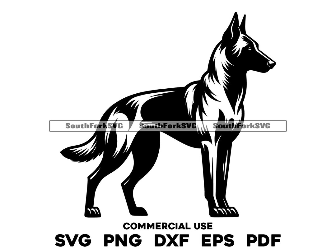 Belgian Malinois Standing Svg Png Dxf Eps Pdf | Vector Graphic Cut File ...