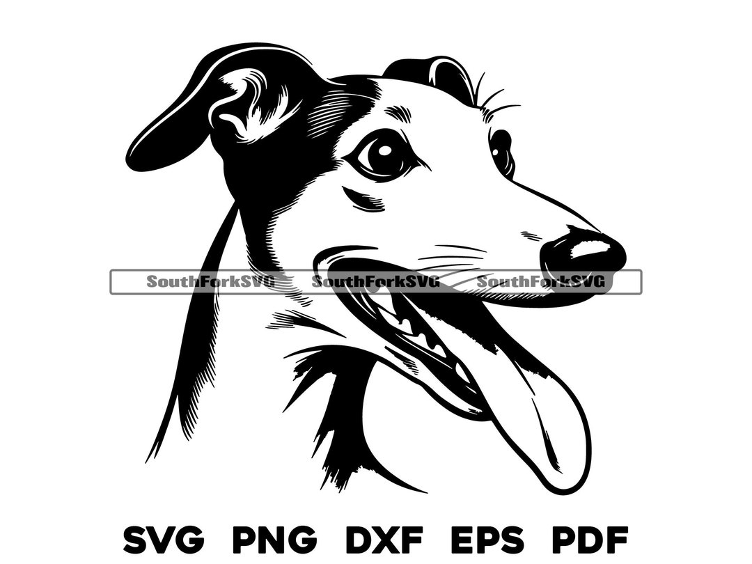 Italian Greyhound Dog Head Design | Svg Png Dxf Eps Pdf | Vector ...