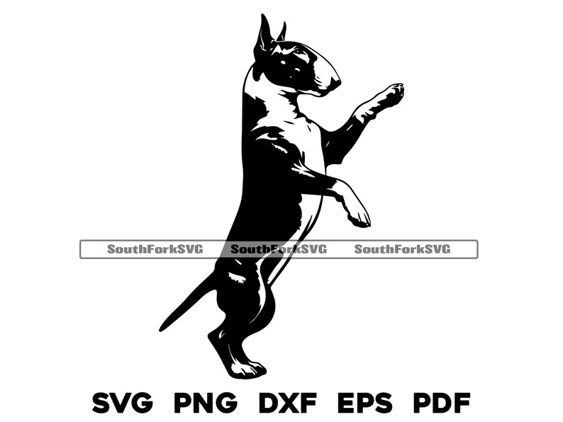 Bull Terrier Standing Design | Svg Png Dxf Eps Pdf | Vector Graphic Cut ...