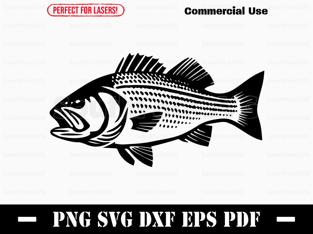 Striped Bass Striper Svg Png Dxf Eps Pdf | Transparent Vector Graphic ...