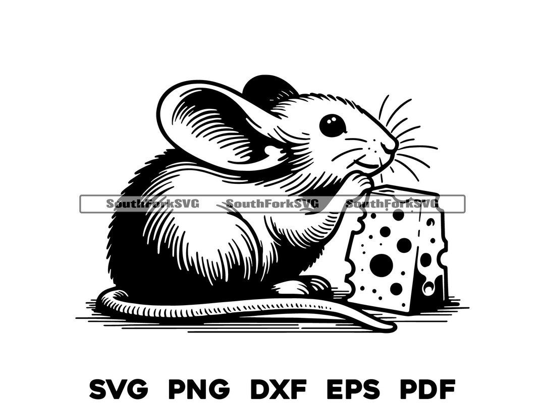 Baby Mouse With Cheese | Svg Png Dxf Eps Pdf | Transparent Vector ...