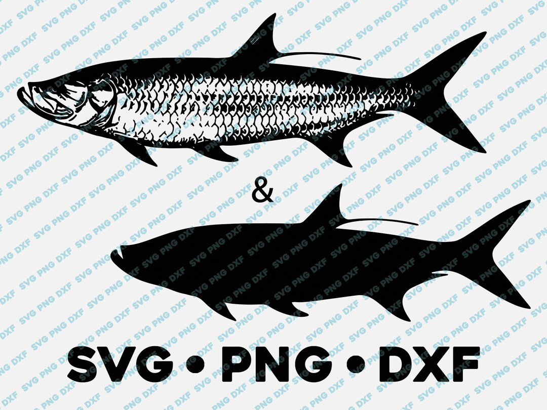 Tarpon SVG PNG DXF Vector Transparent Cameo Silhouette Cut File Saying ...