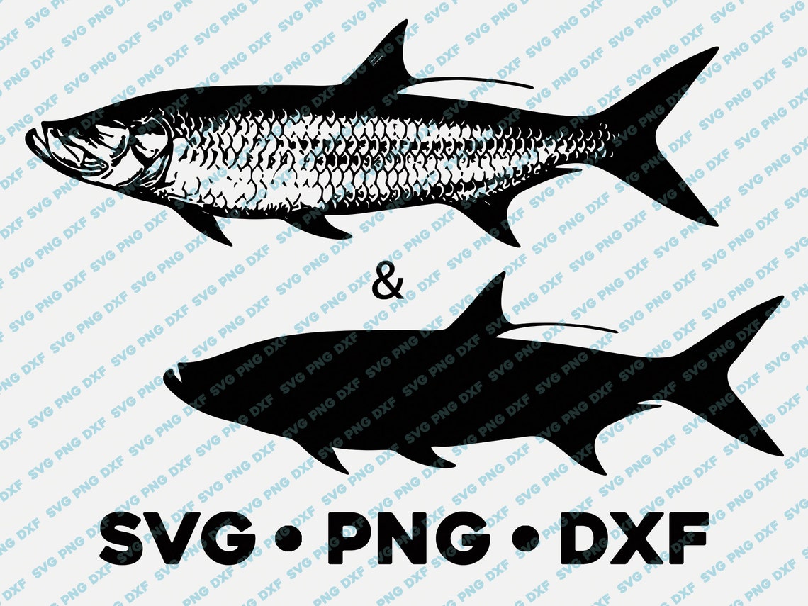 Tarpon SVG PNG DXF Vector Transparent Cameo Silhouette Cut File Saying ...