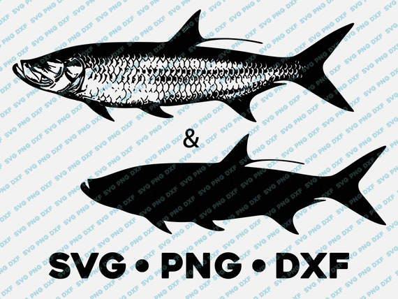 Tarpon SVG PNG DXF Vector Transparent Cricut Cameo Silhouette | Etsy