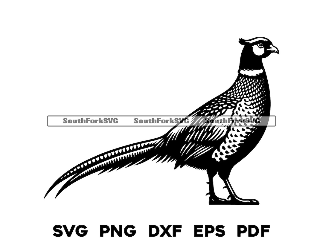 Standing Pheasant Design 1 Svg Png Dxf Eps Pdf | Vector Graphic Design ...